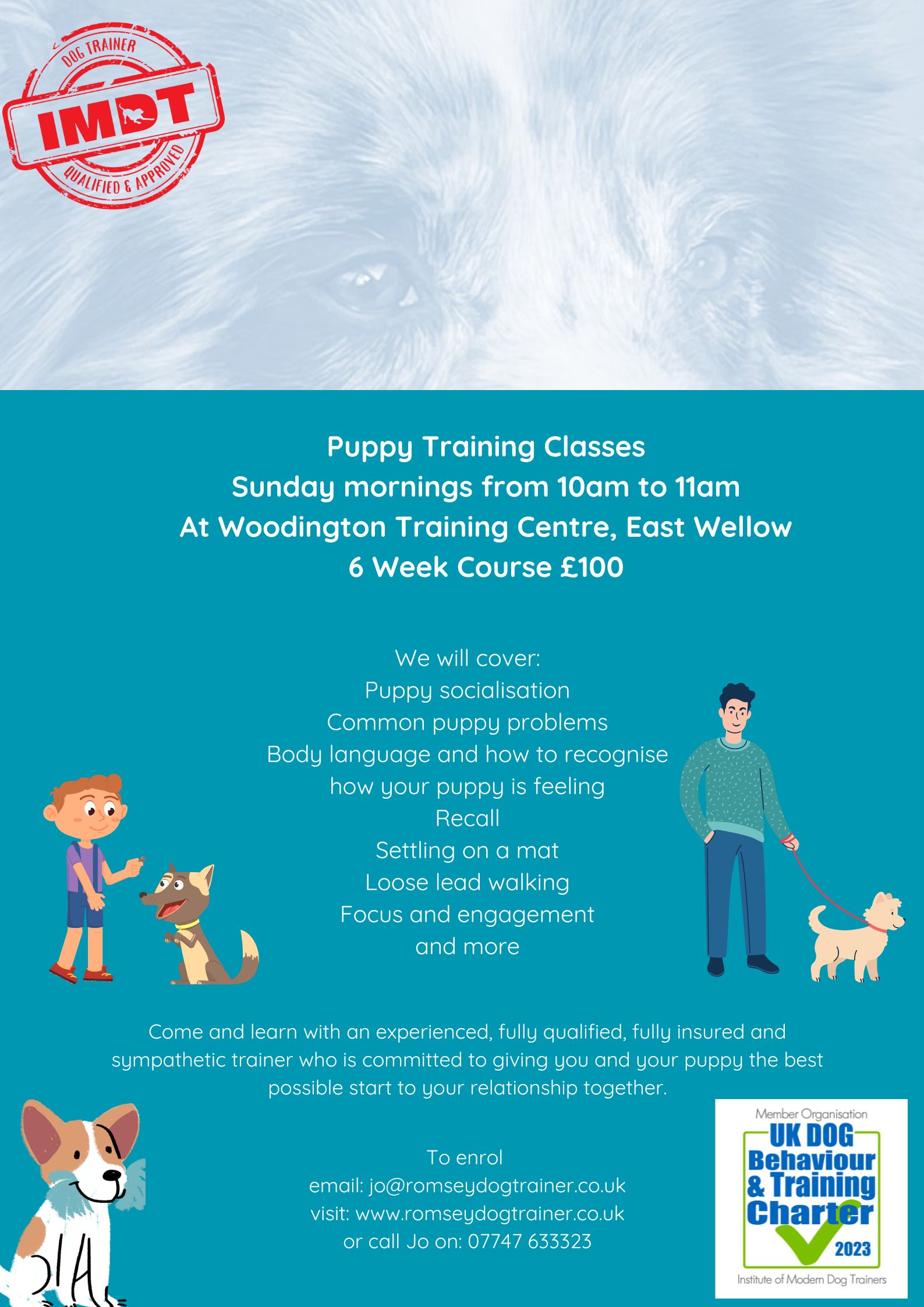 New Puppy Classes in East Wellow - Romsey and New Forest Dog Trainer
