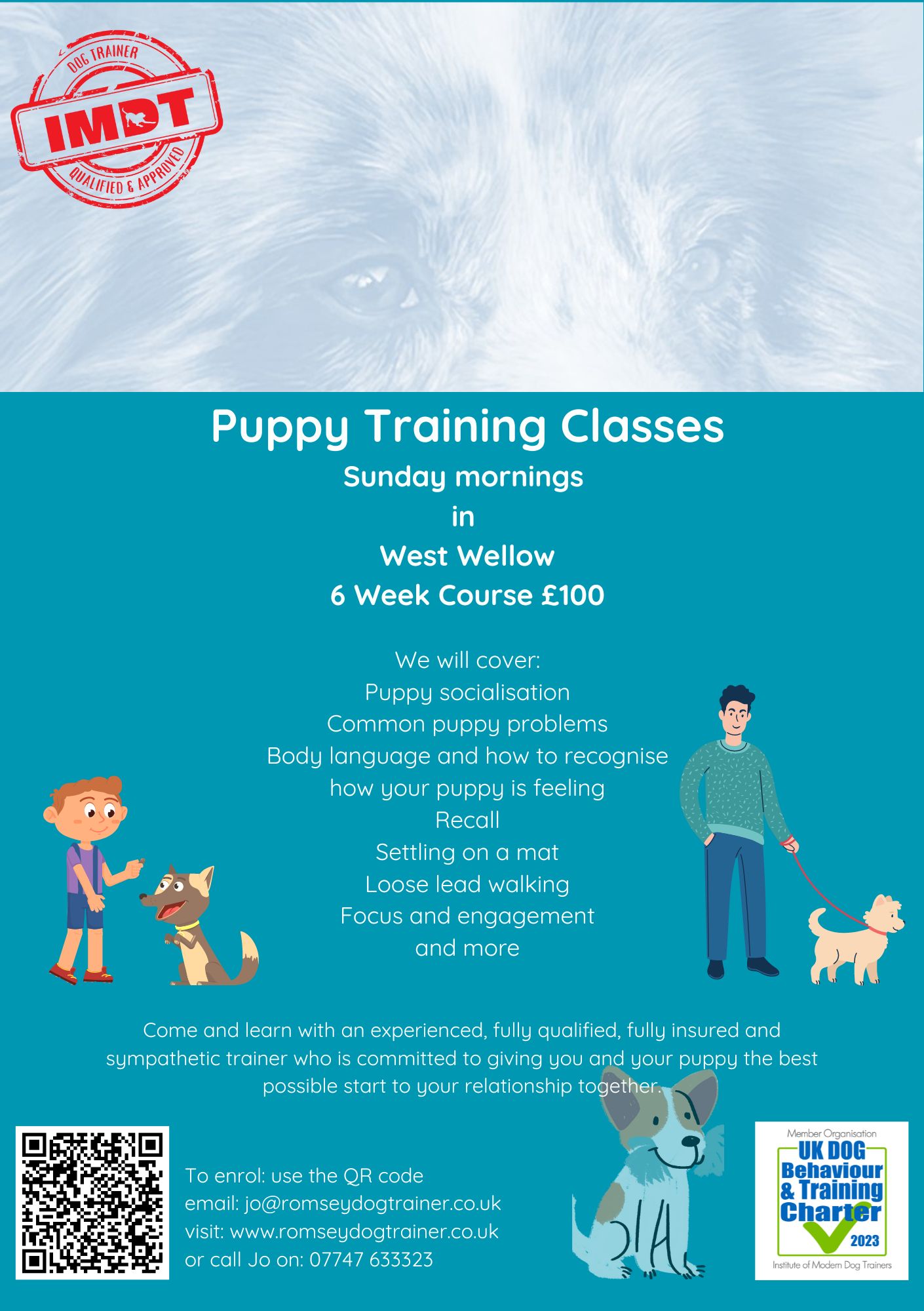 Puppy Classes - Romsey and New Forest Dog Trainer